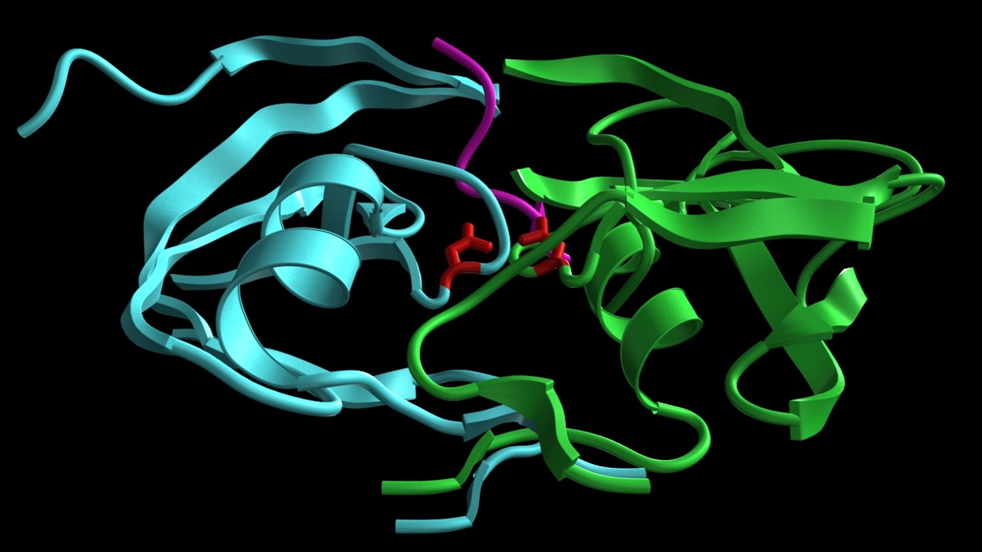 3d Model Protease Enzyme Protein