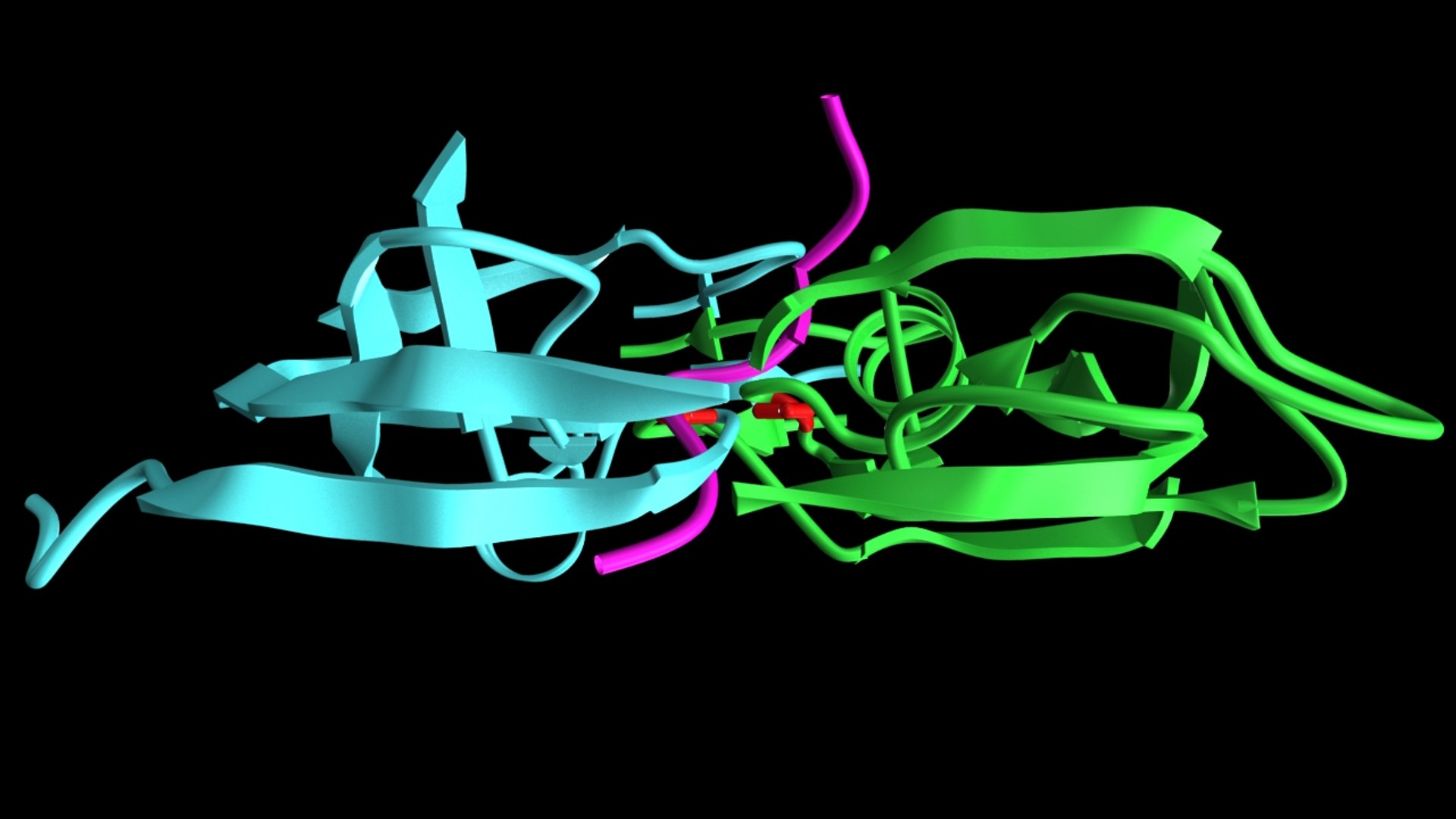 3d Model Protease Enzyme Protein