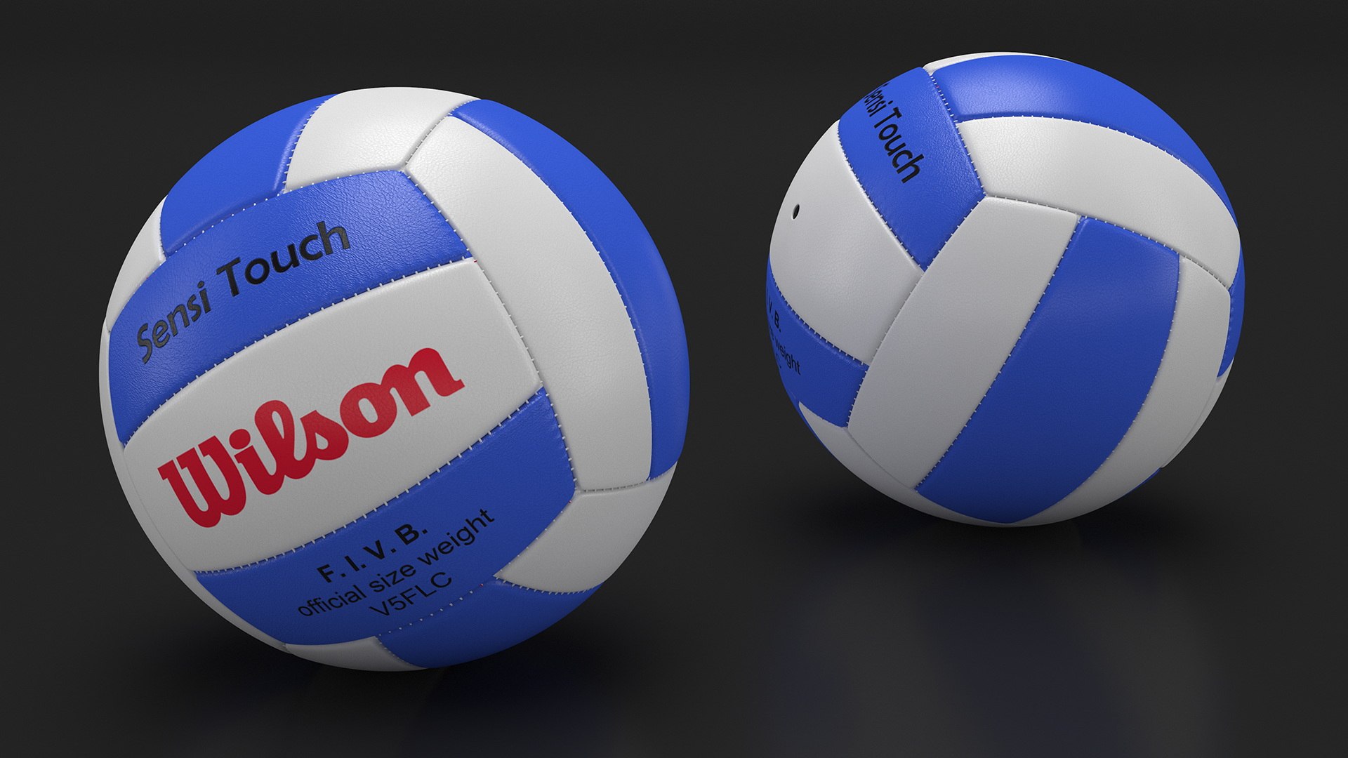 3D Wilson Soft Play Outdoor Volleyball Model - TurboSquid 2202504