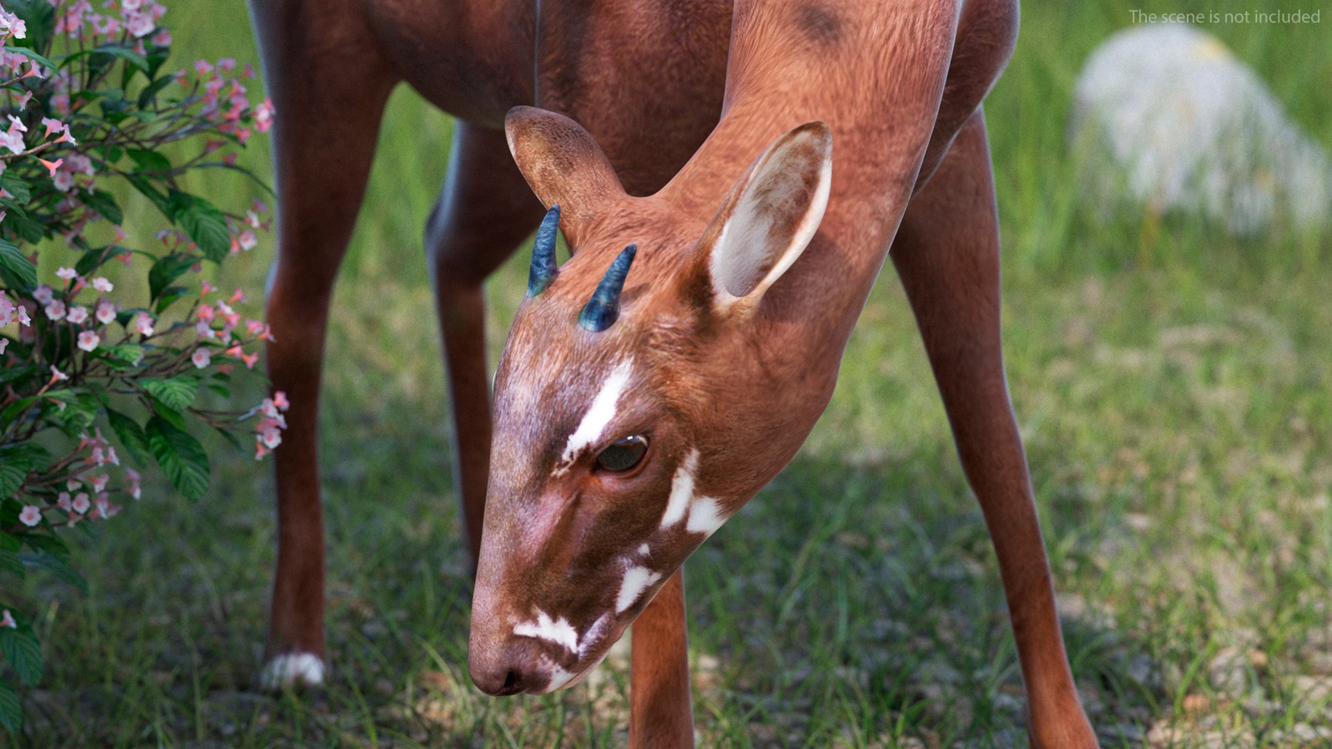 Saola Rigged For Maya 3D Model - TurboSquid 2287636