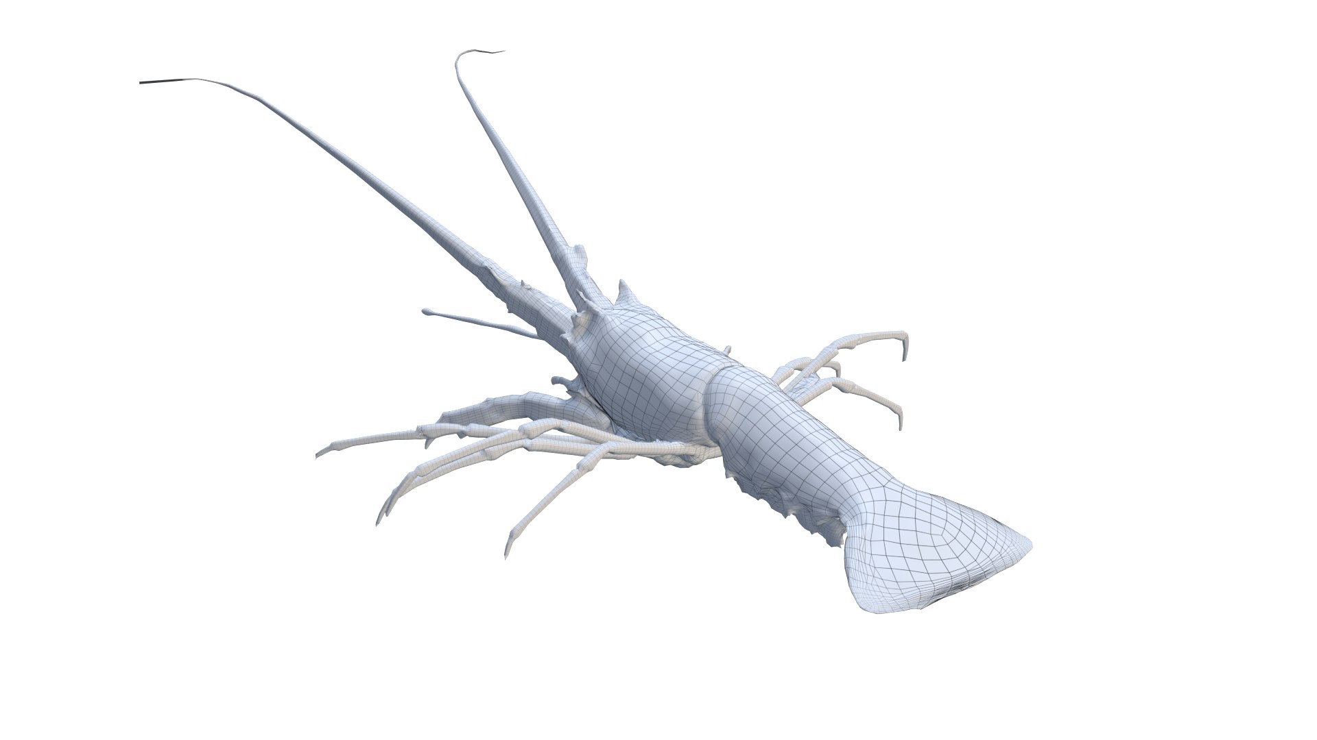 Lobster Animal 3D Model 3D Model - TurboSquid 2311937