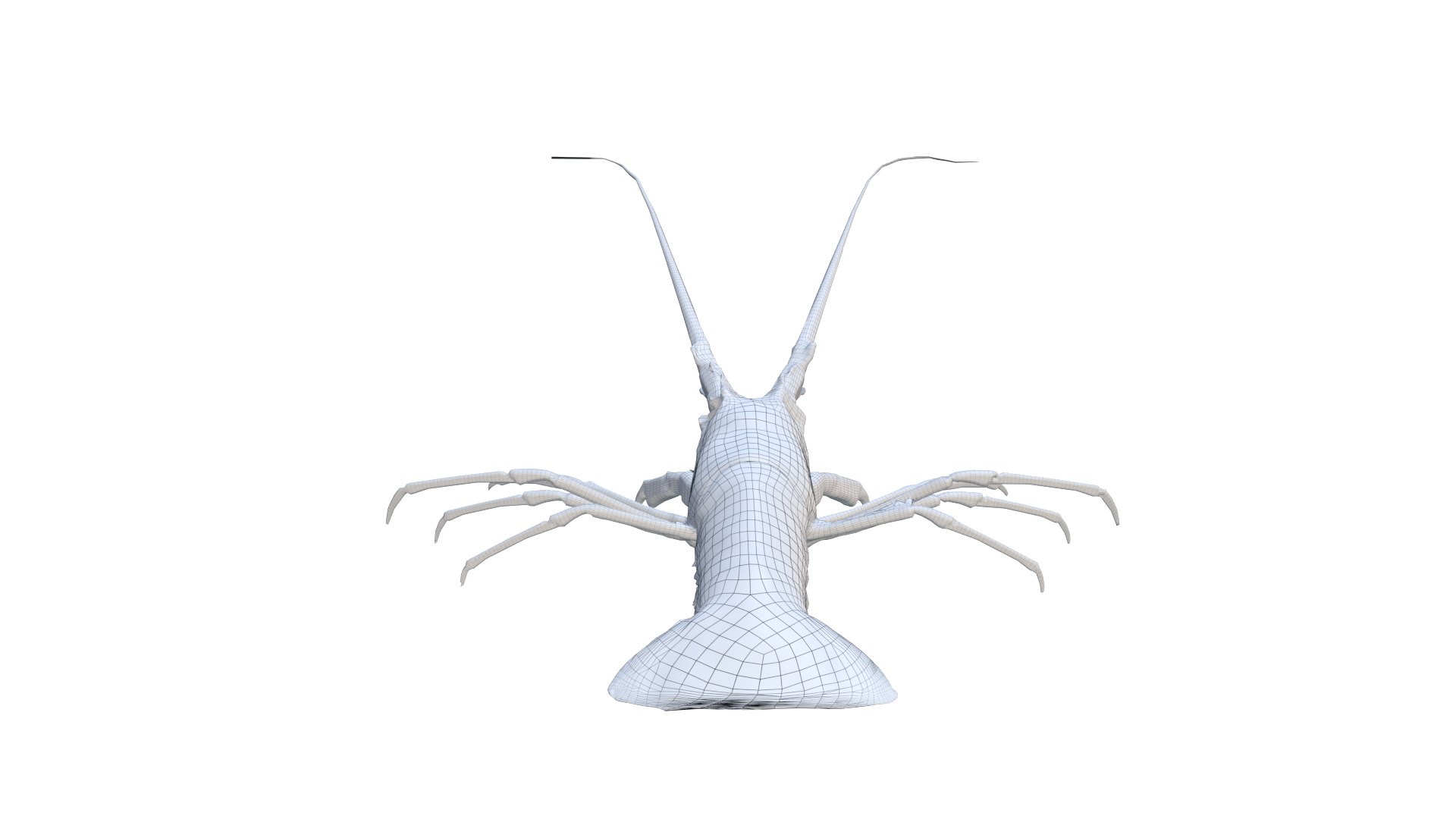 Lobster Animal 3D Model 3D Model - TurboSquid 2311937