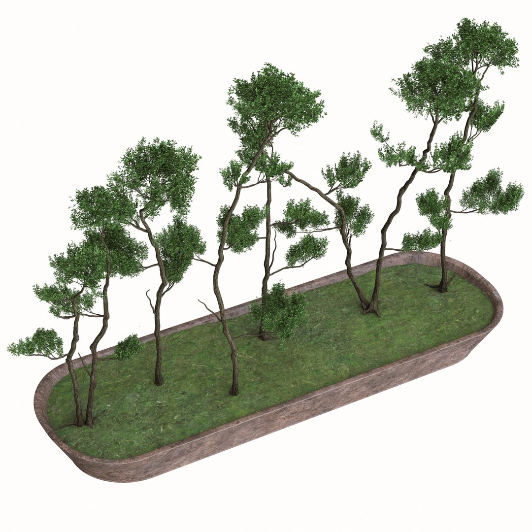 3D Bonsai Tree Or Juniperus Chinensis Pot - TurboSquid 2000696