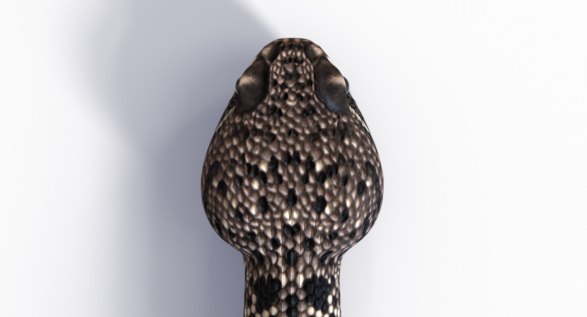 3D eastern diamondback rattlesnake animation model - TurboSquid 1392831