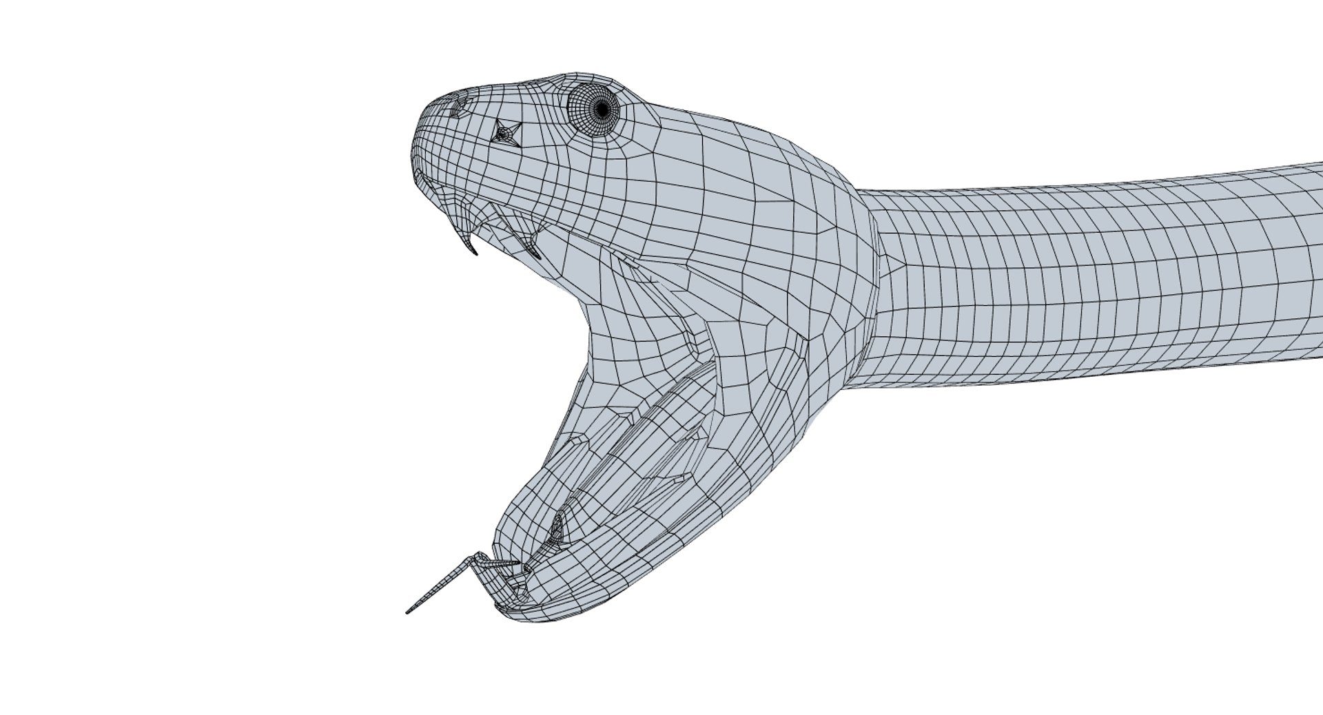 3D Eastern Diamondback Rattlesnake Animation Model - TurboSquid 1392831