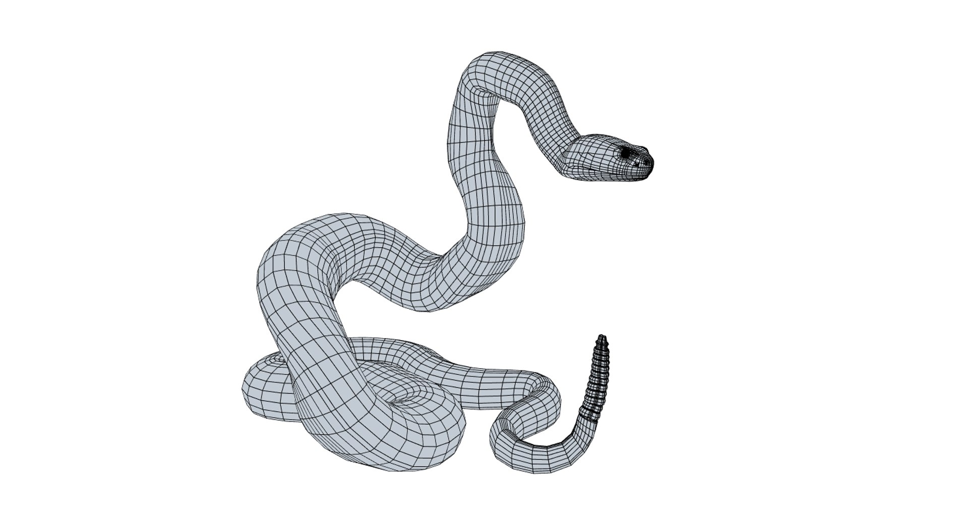 3D Eastern Diamondback Rattlesnake Animation Model - TurboSquid 1392831