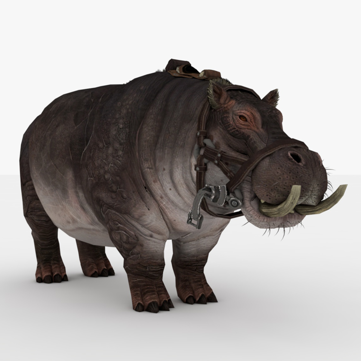 Hippo Rigged and Animated 3D - TurboSquid 1737857