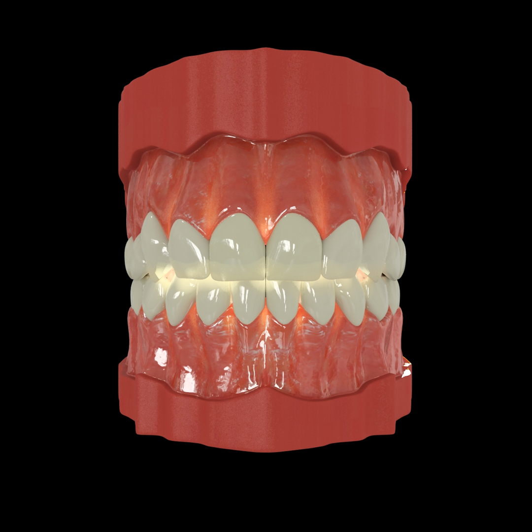 3ds Max Human Teeth