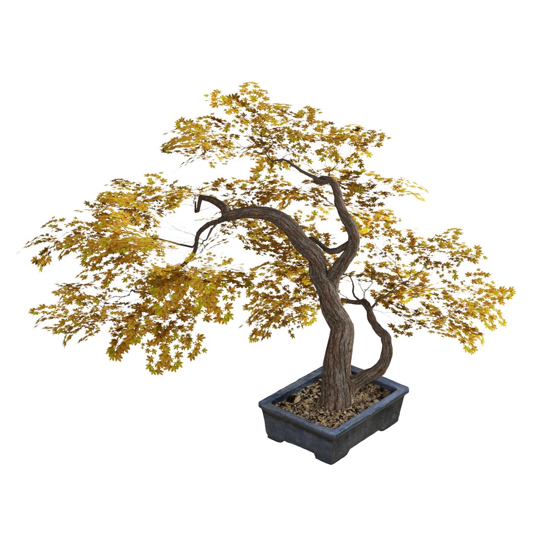Fall Bonsai Mini Tree Pot 3D Model - TurboSquid 2127605