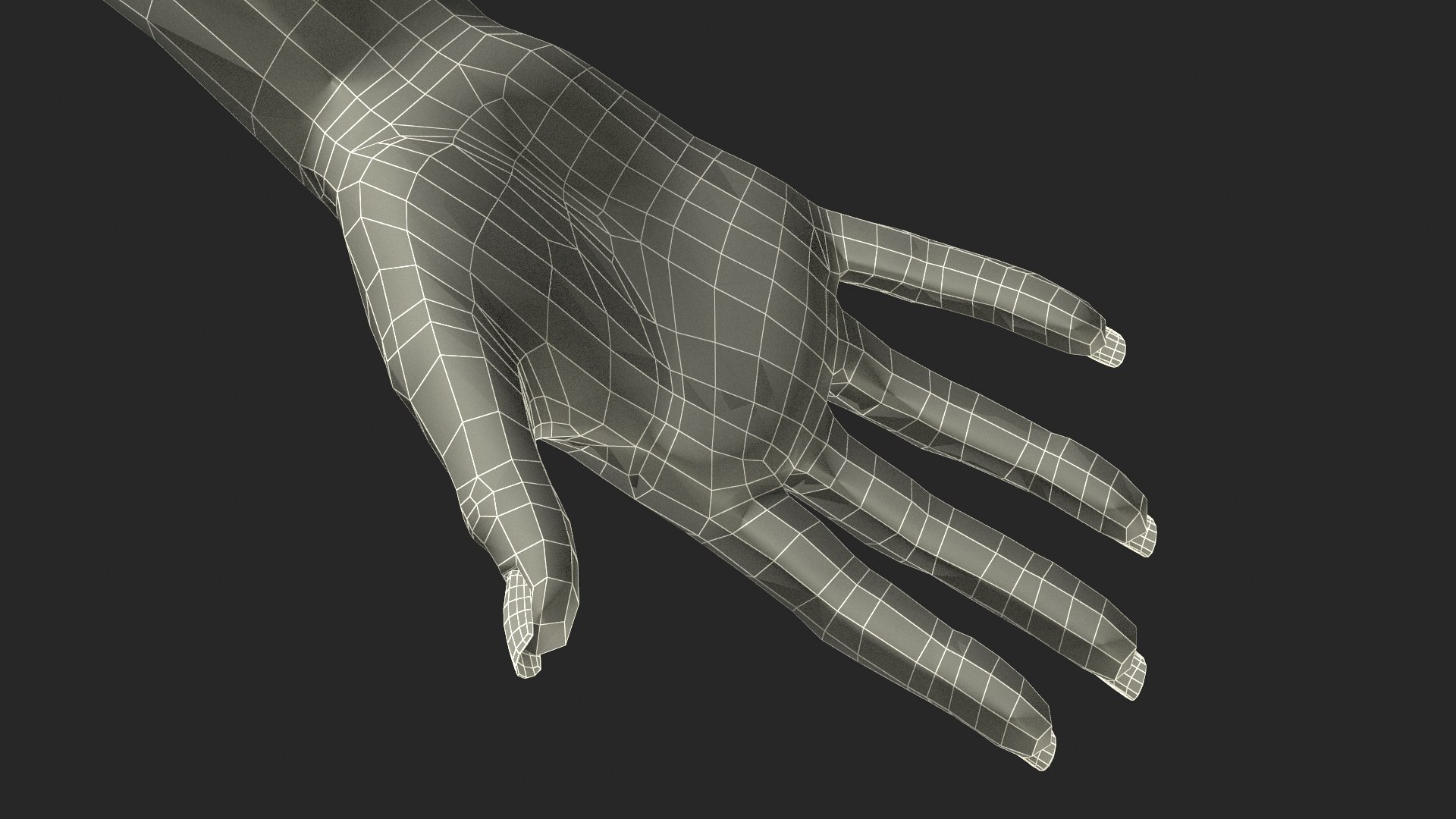 Woman Hand Rigged 3D Model - TurboSquid 2177351