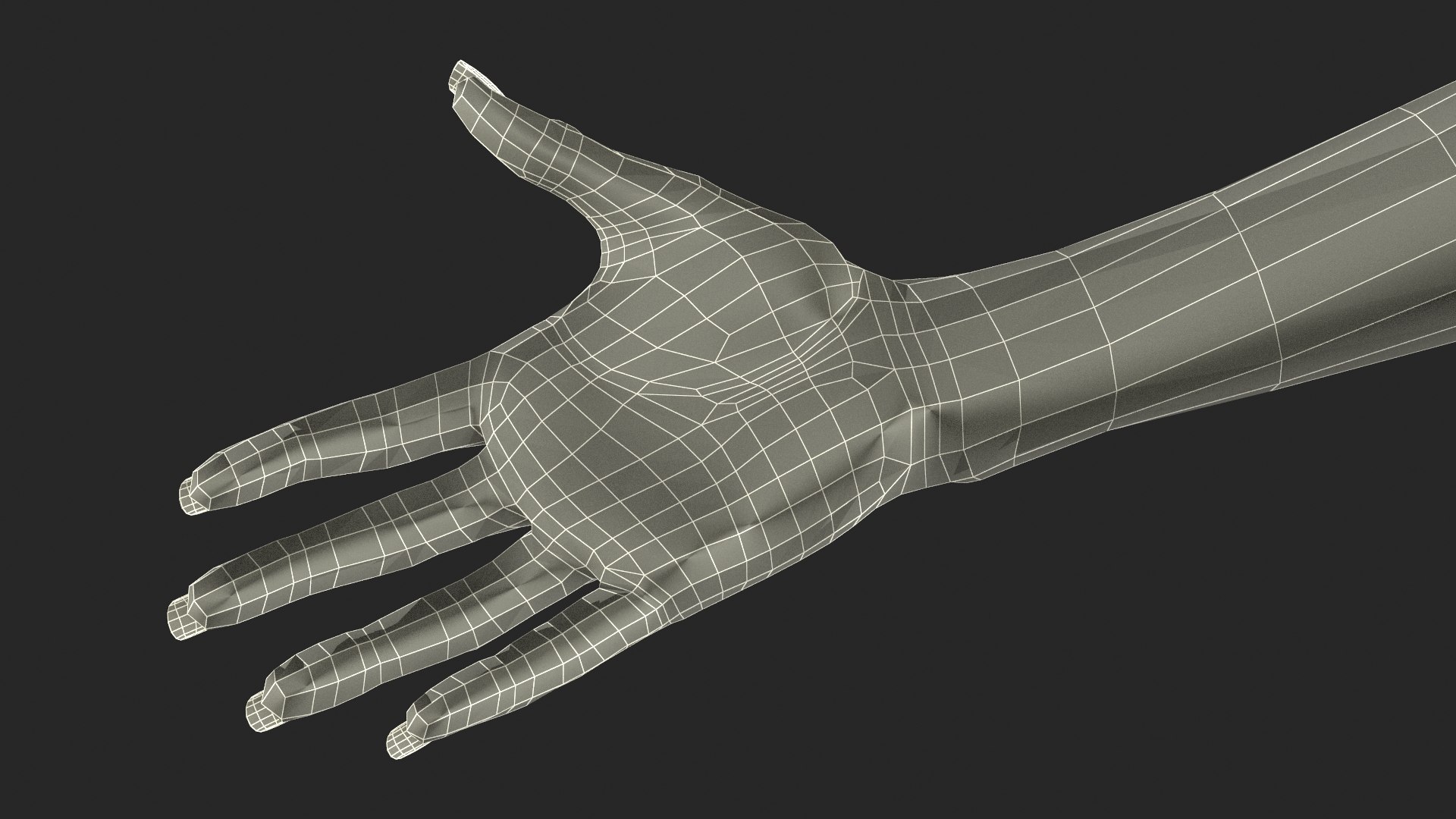 Woman Hand Rigged 3D Model - TurboSquid 2177351