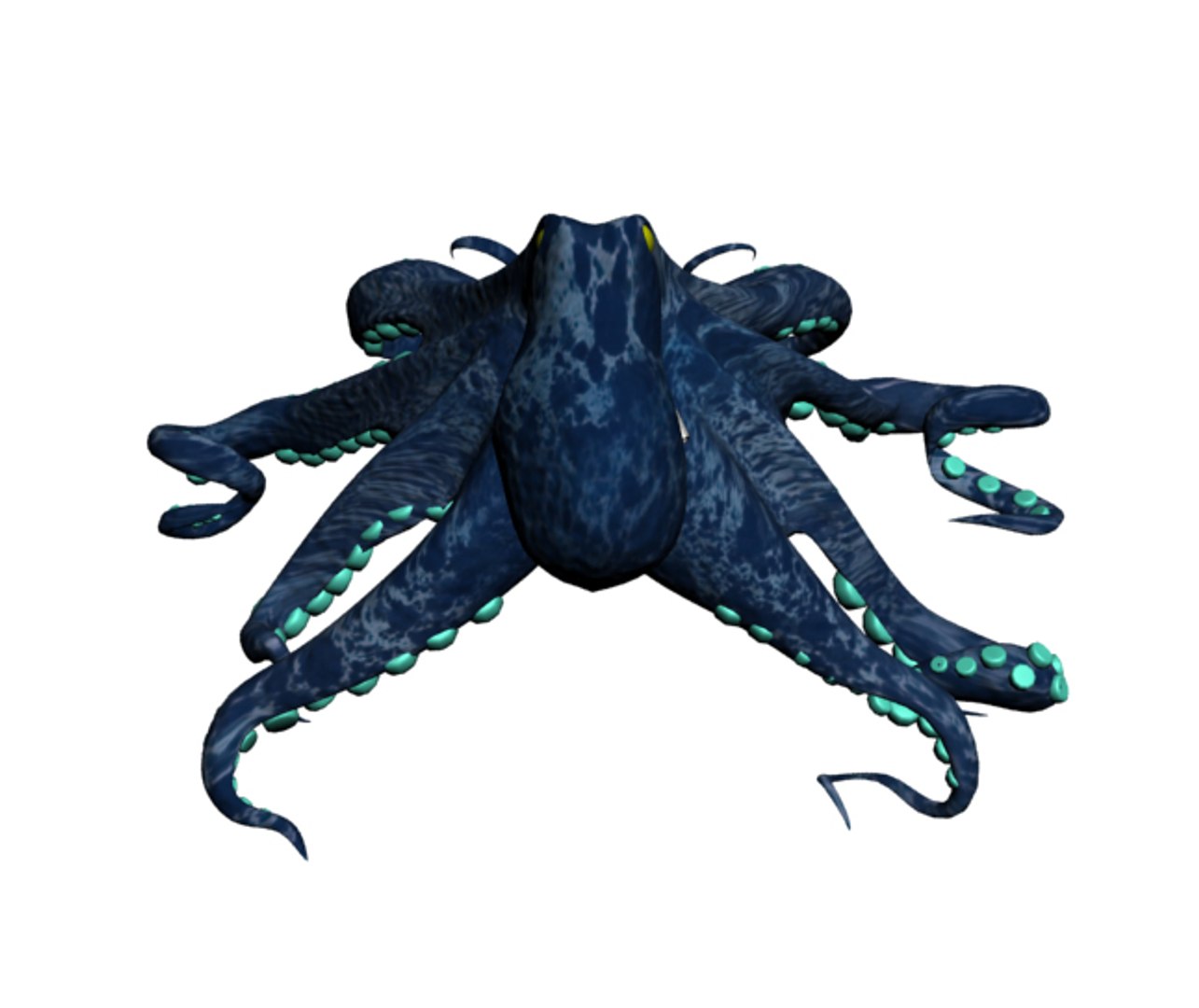 3d Model Marine Octopus