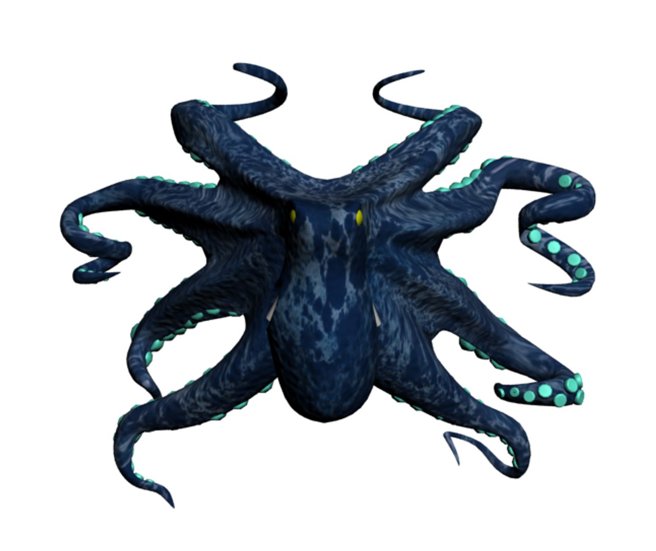 3d Model Marine Octopus