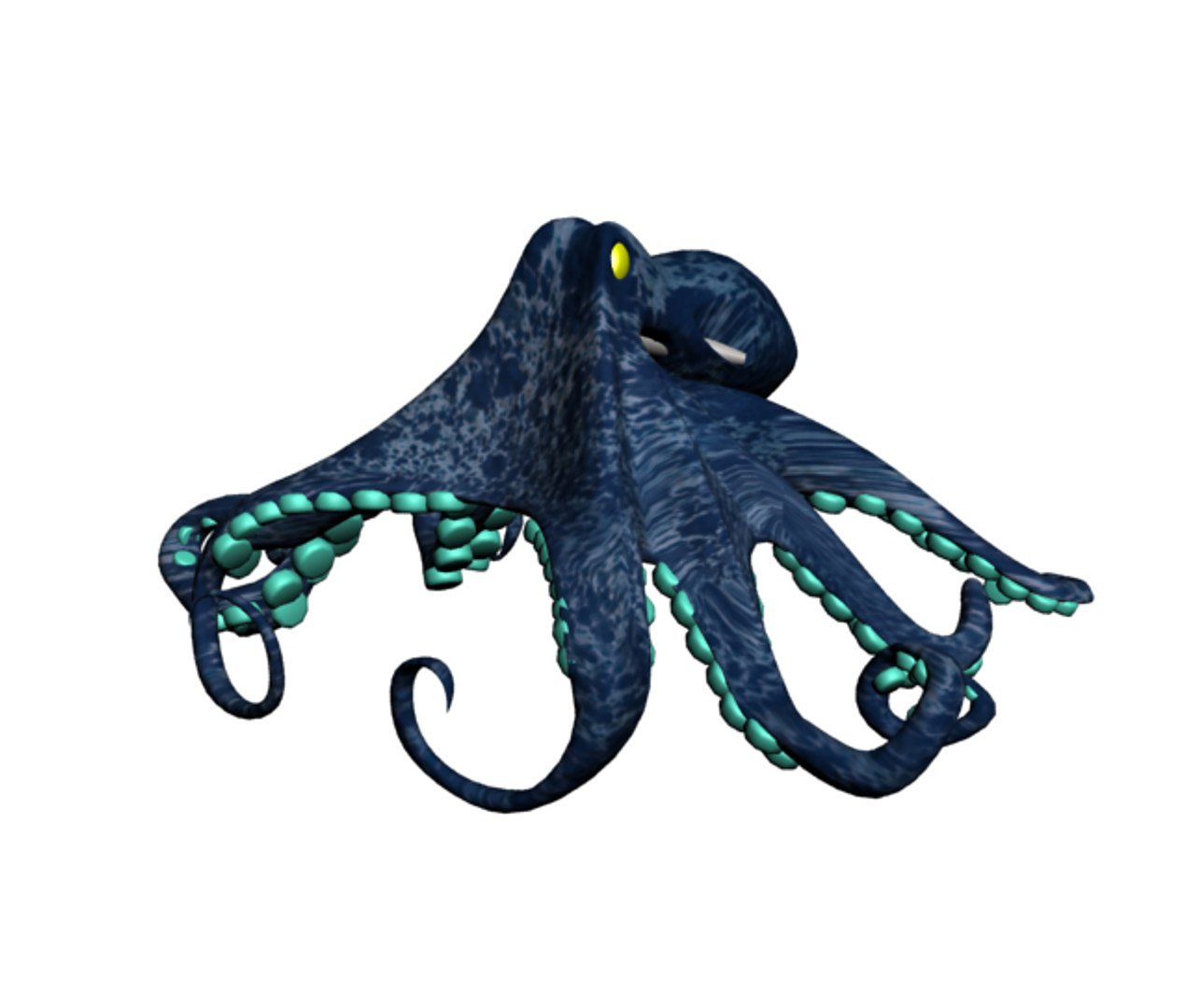 3d Model Marine Octopus