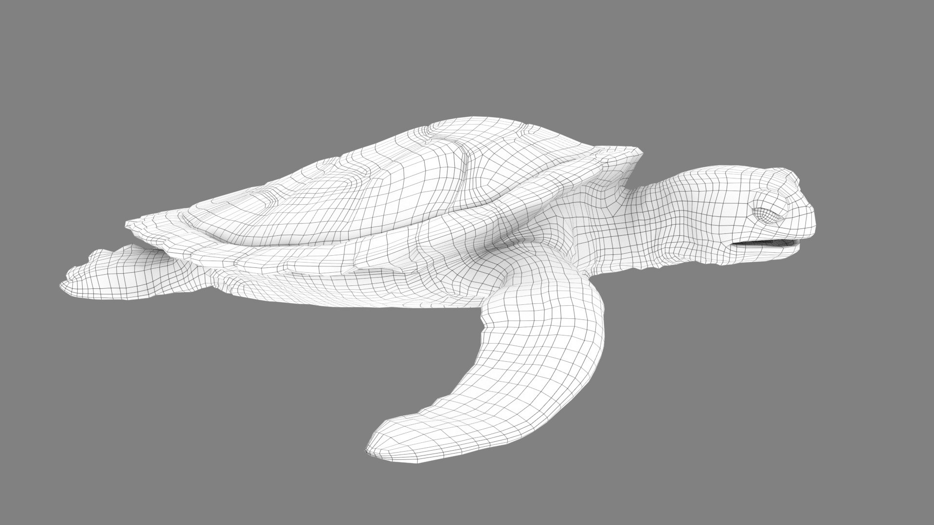 Sea Green Turtle 3D Model - TurboSquid 2060844