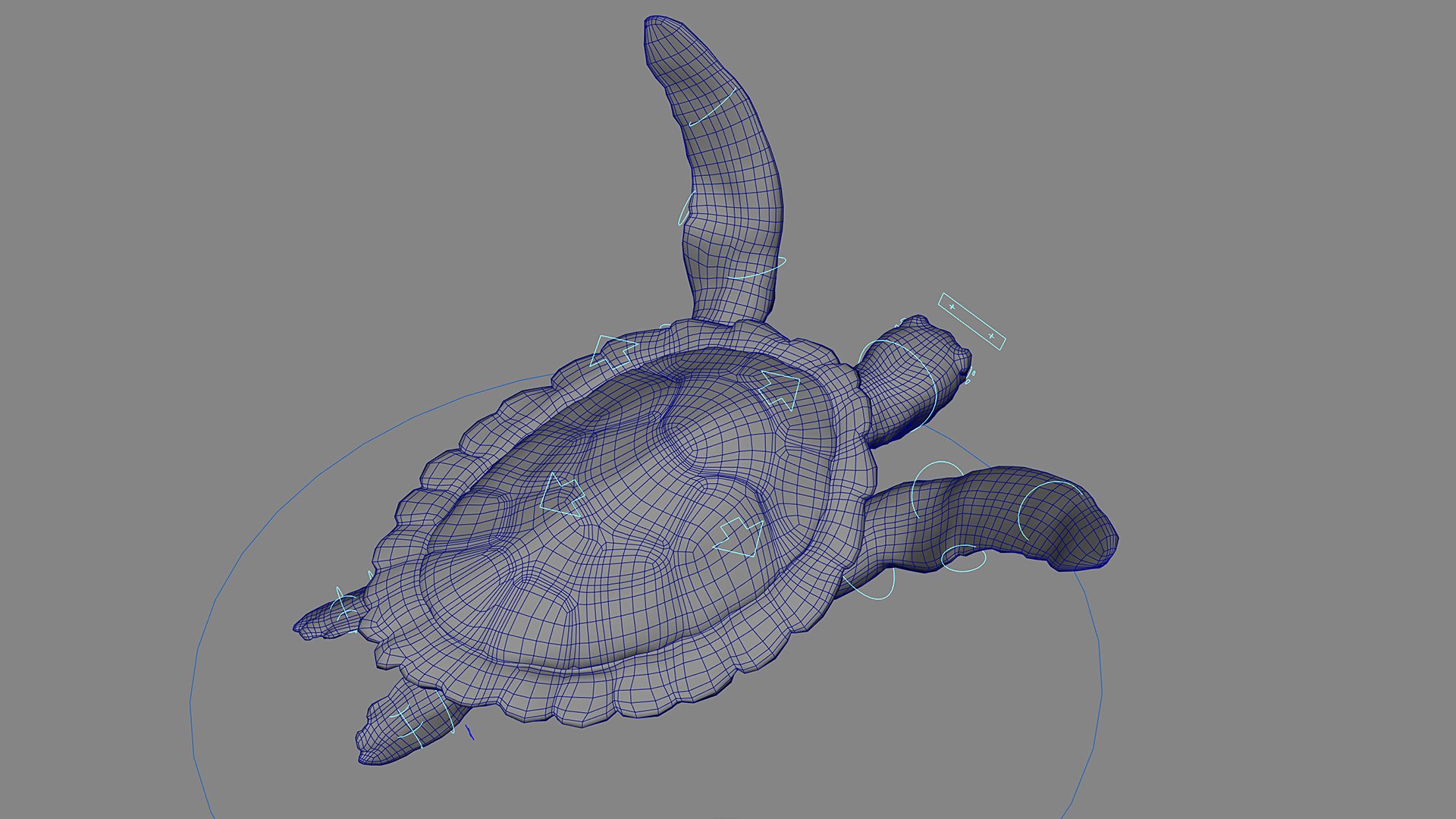 Sea Green Turtle 3D Model - TurboSquid 2060844