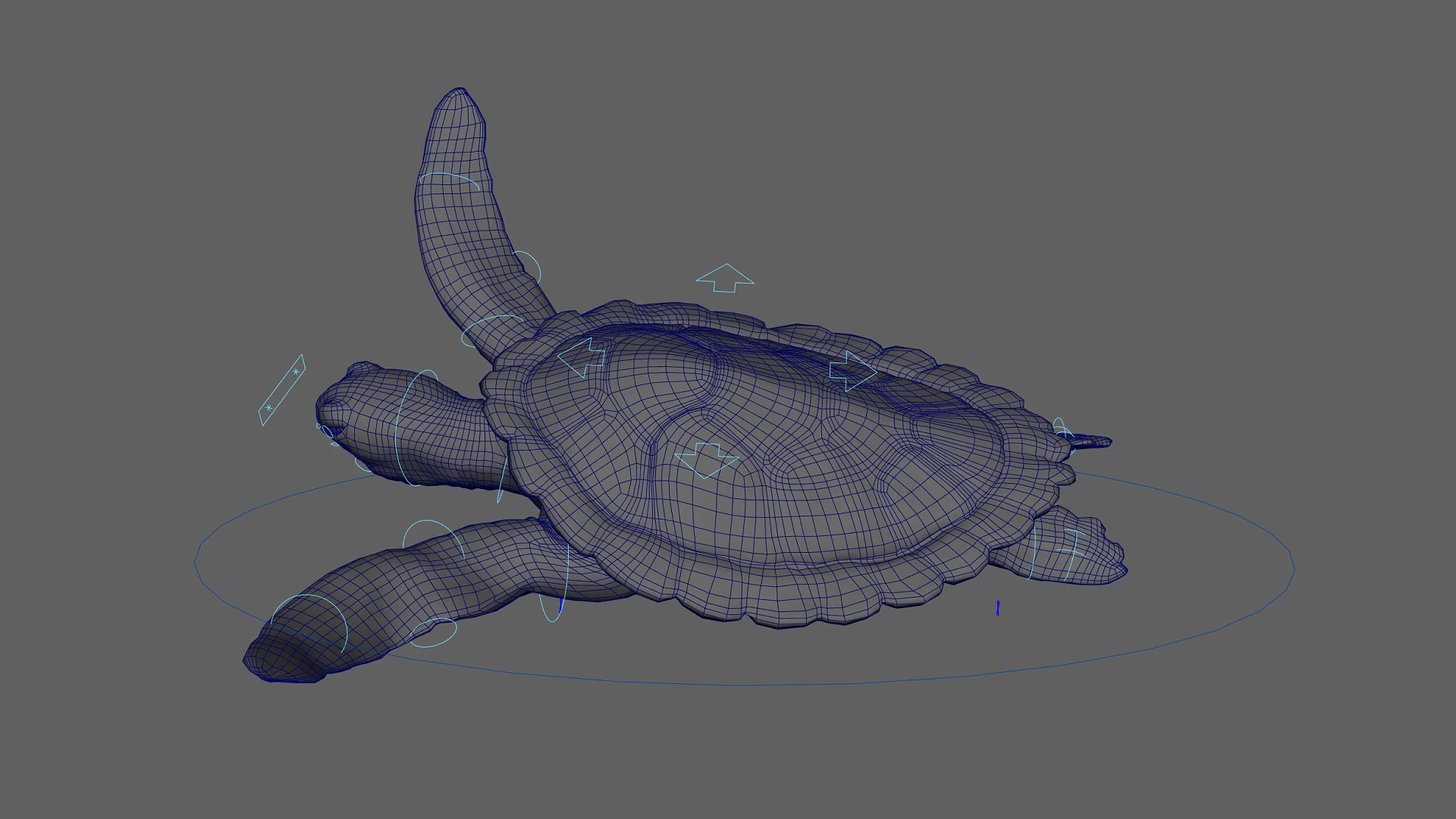 Sea Green Turtle 3D Model - TurboSquid 2060844