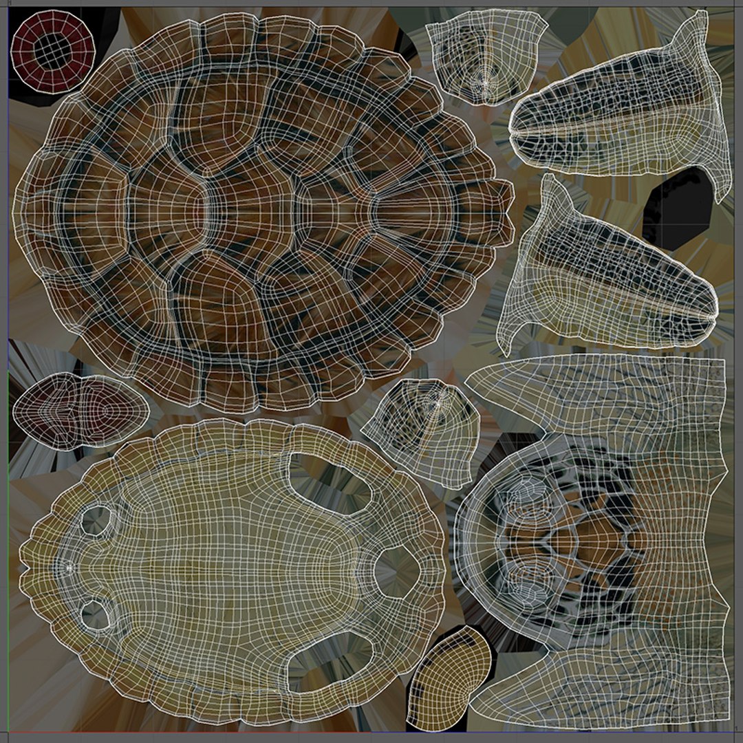 Sea Green Turtle 3D Model - TurboSquid 2060844