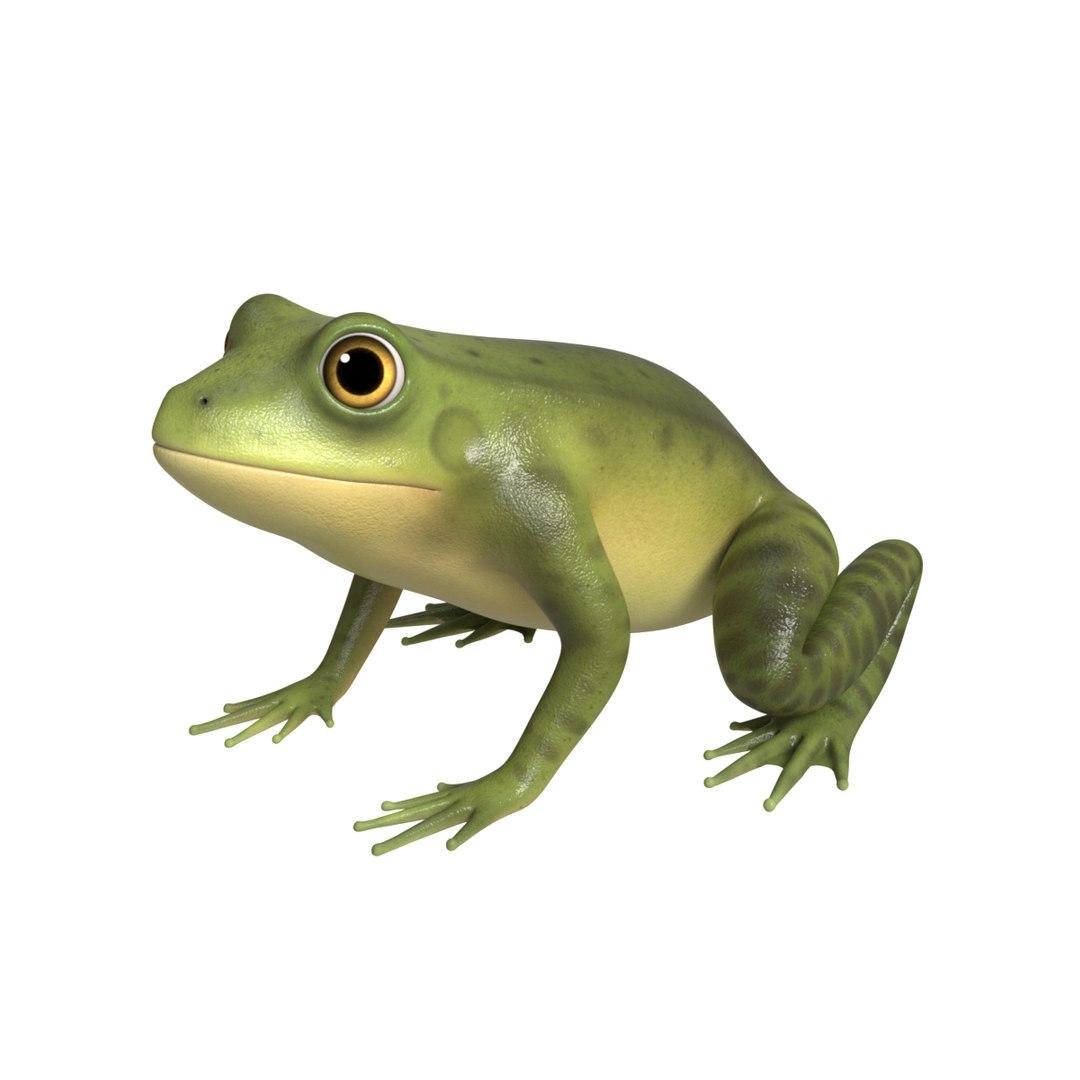 3D Model Frog Animated Facial Blend Shapes - TurboSquid 2280184