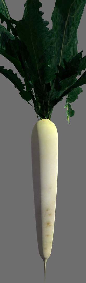 3D Pack Radish Crops Plant - TurboSquid 1493815