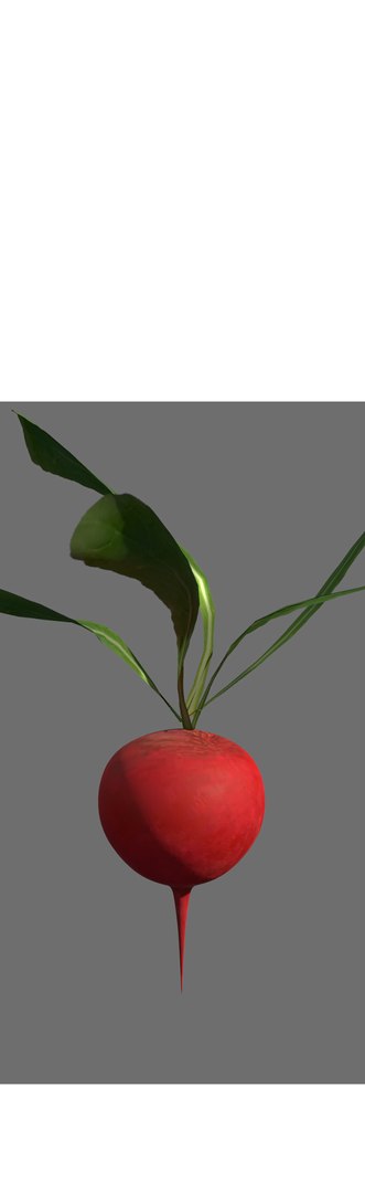 3D Pack Radish Crops Plant - TurboSquid 1493815