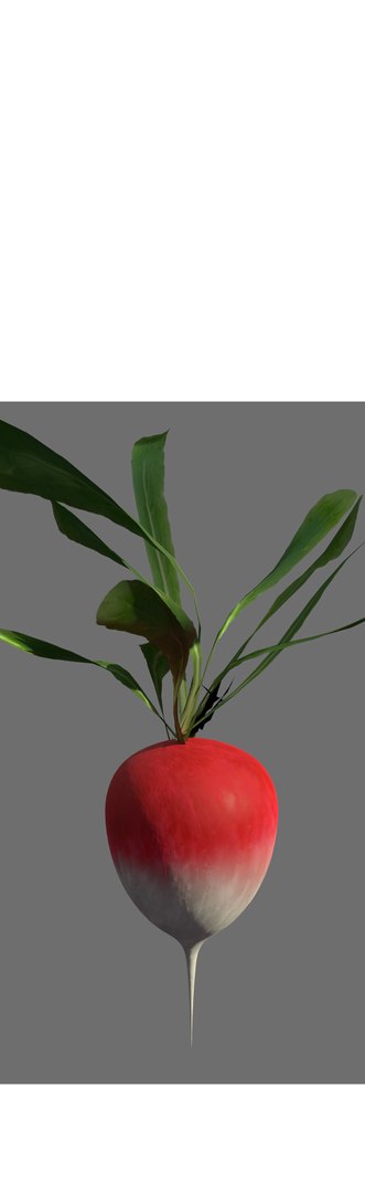 3D Pack Radish Crops Plant - TurboSquid 1493815