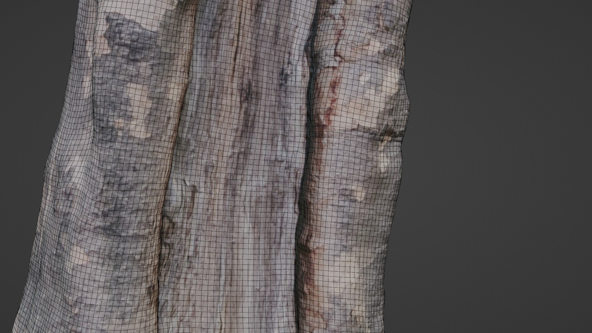 Tree Bark Model - TurboSquid 2329909