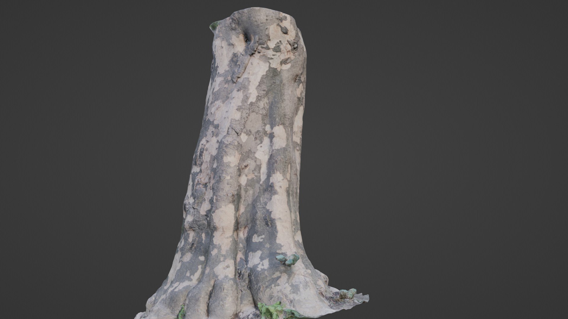 Tree Bark Model - TurboSquid 2329909