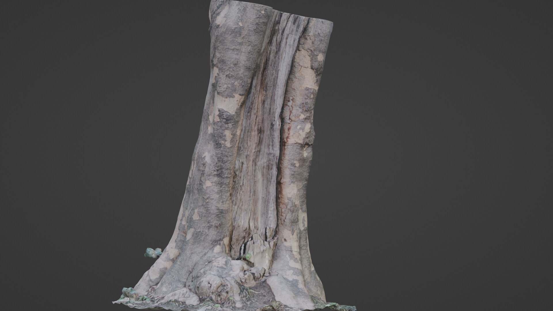 Tree Bark Model - TurboSquid 2329909