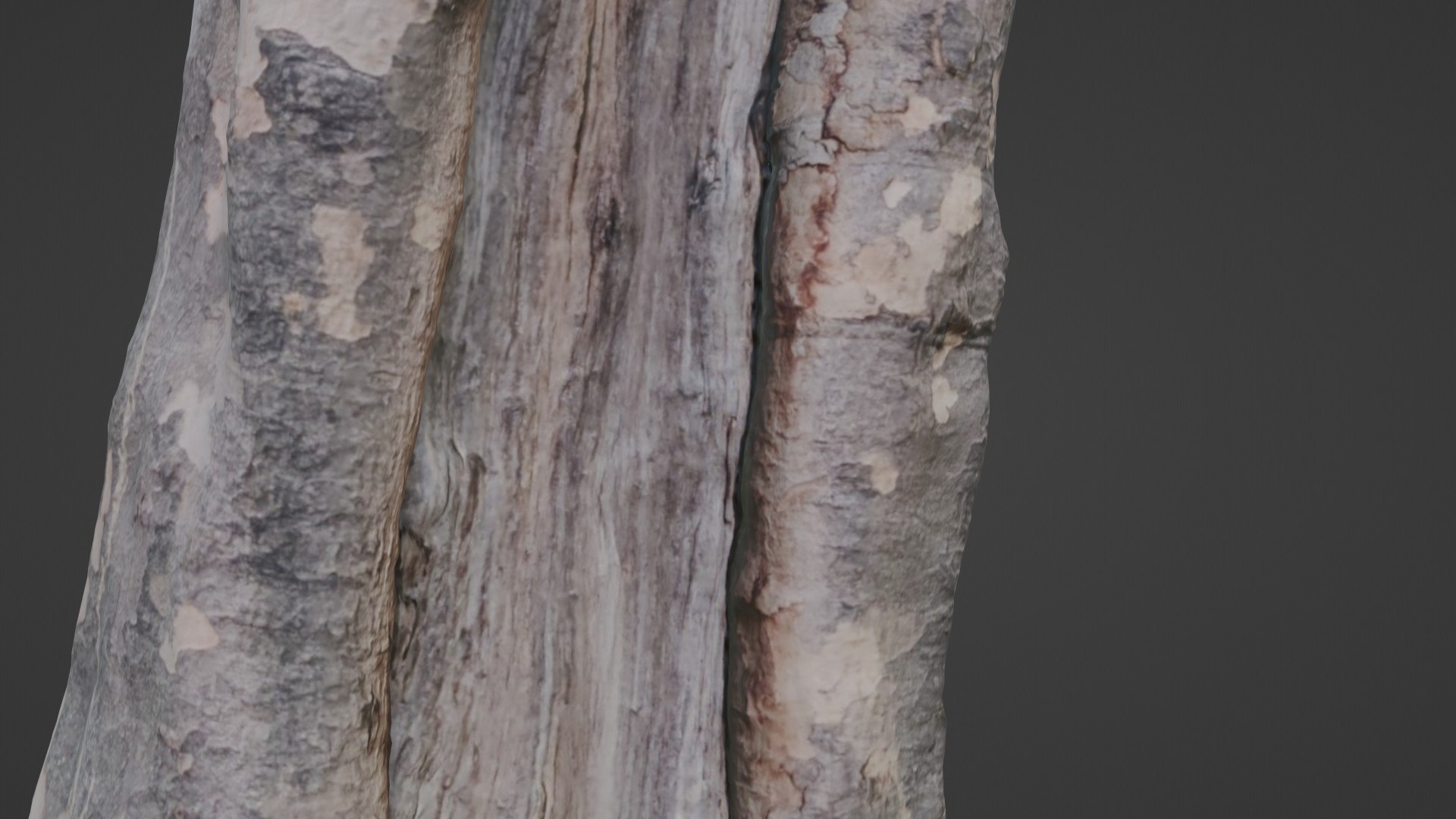 Tree Bark Model - TurboSquid 2329909