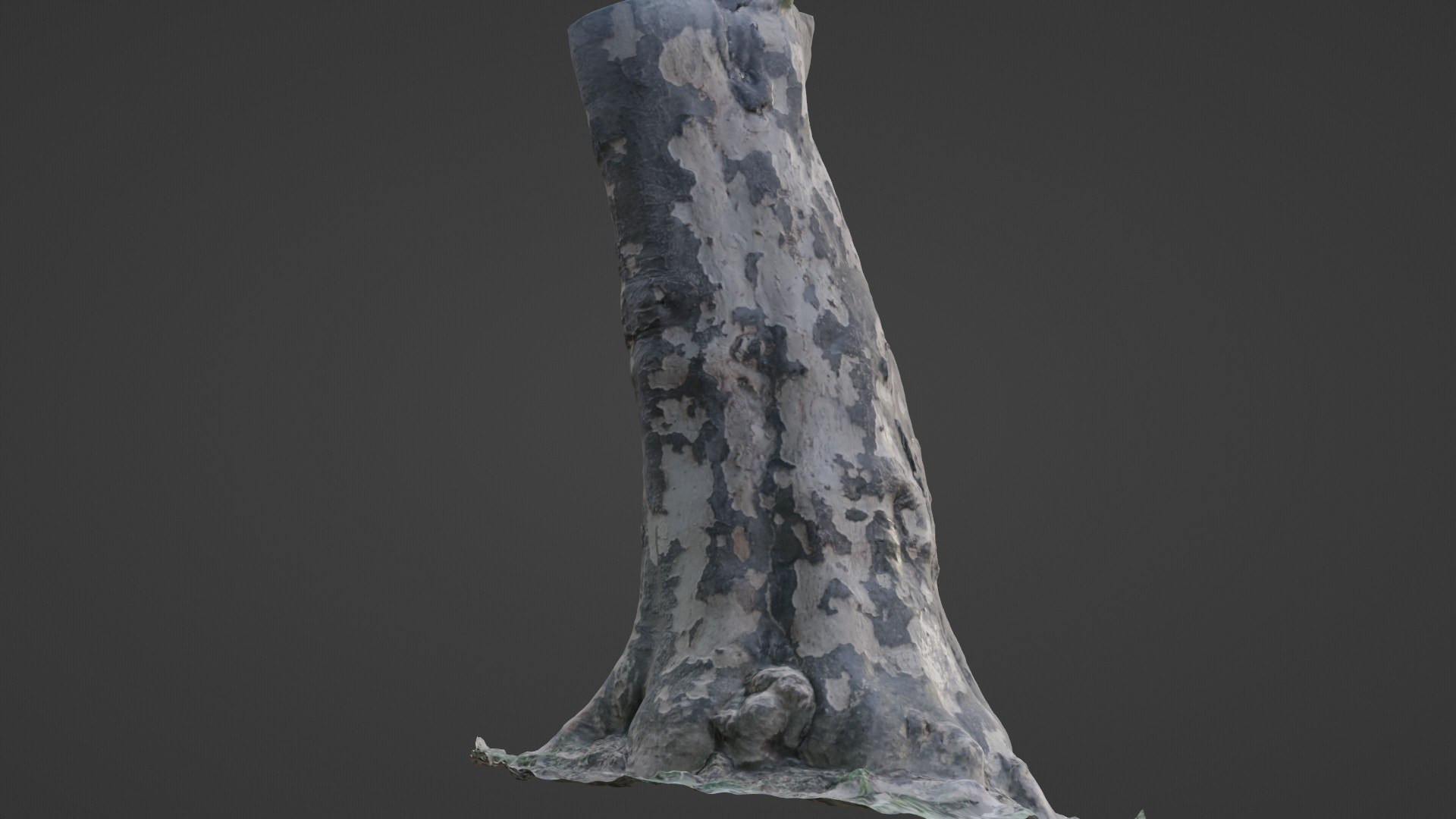 Tree Bark Model - TurboSquid 2329909