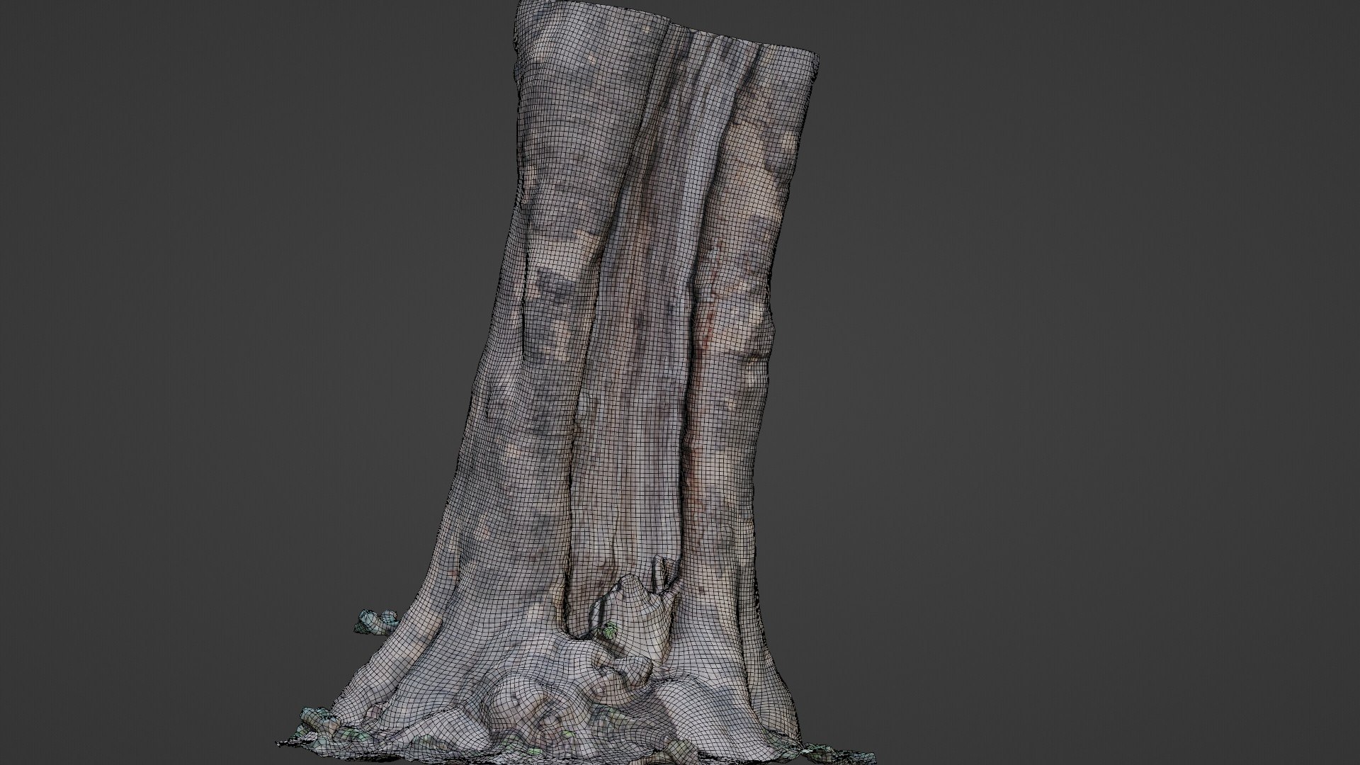 Tree Bark Model - TurboSquid 2329909