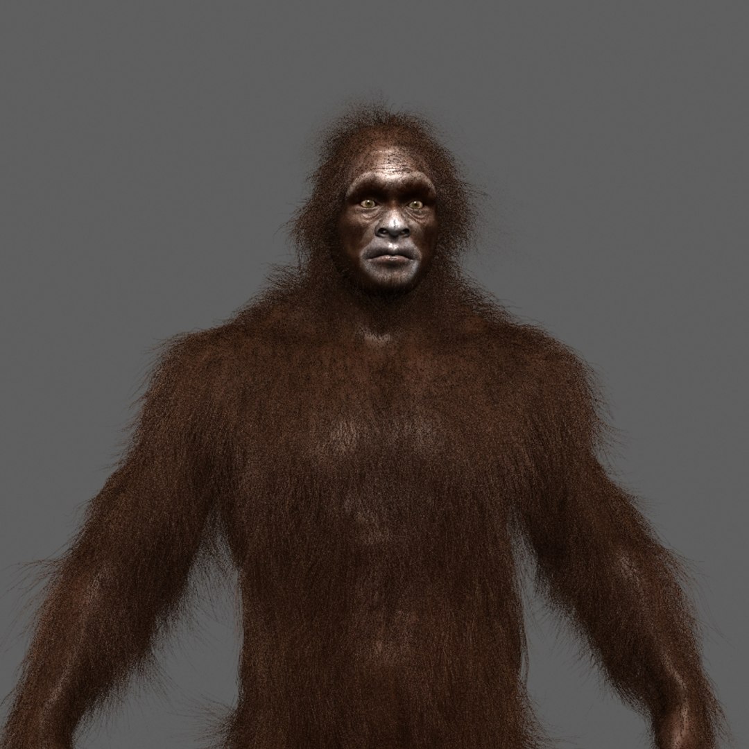 Big foot - sasquatch 3D model - TurboSquid 1369707