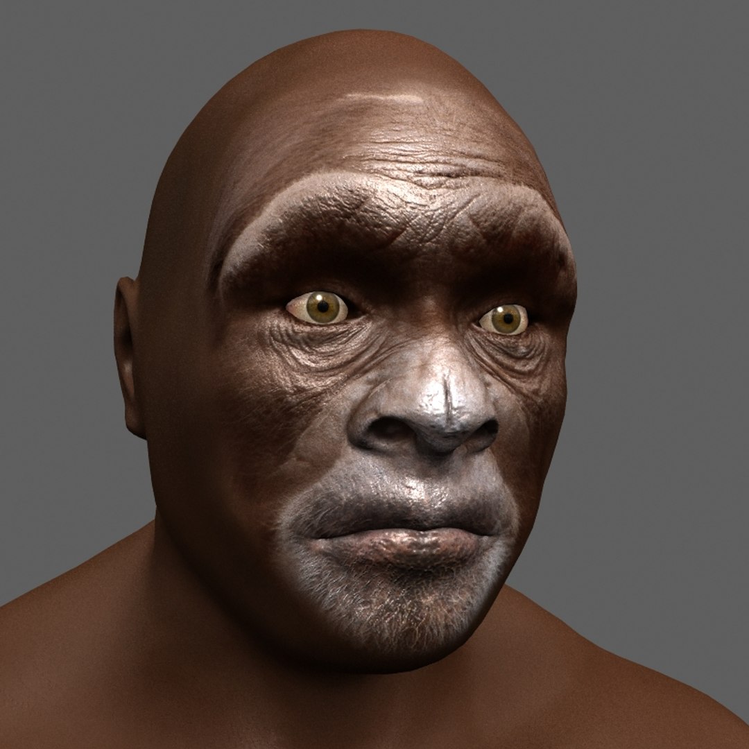 Big foot - sasquatch 3D model - TurboSquid 1369707