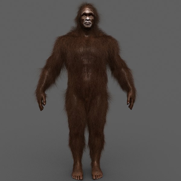 Big foot - sasquatch 3D model - TurboSquid 1369707