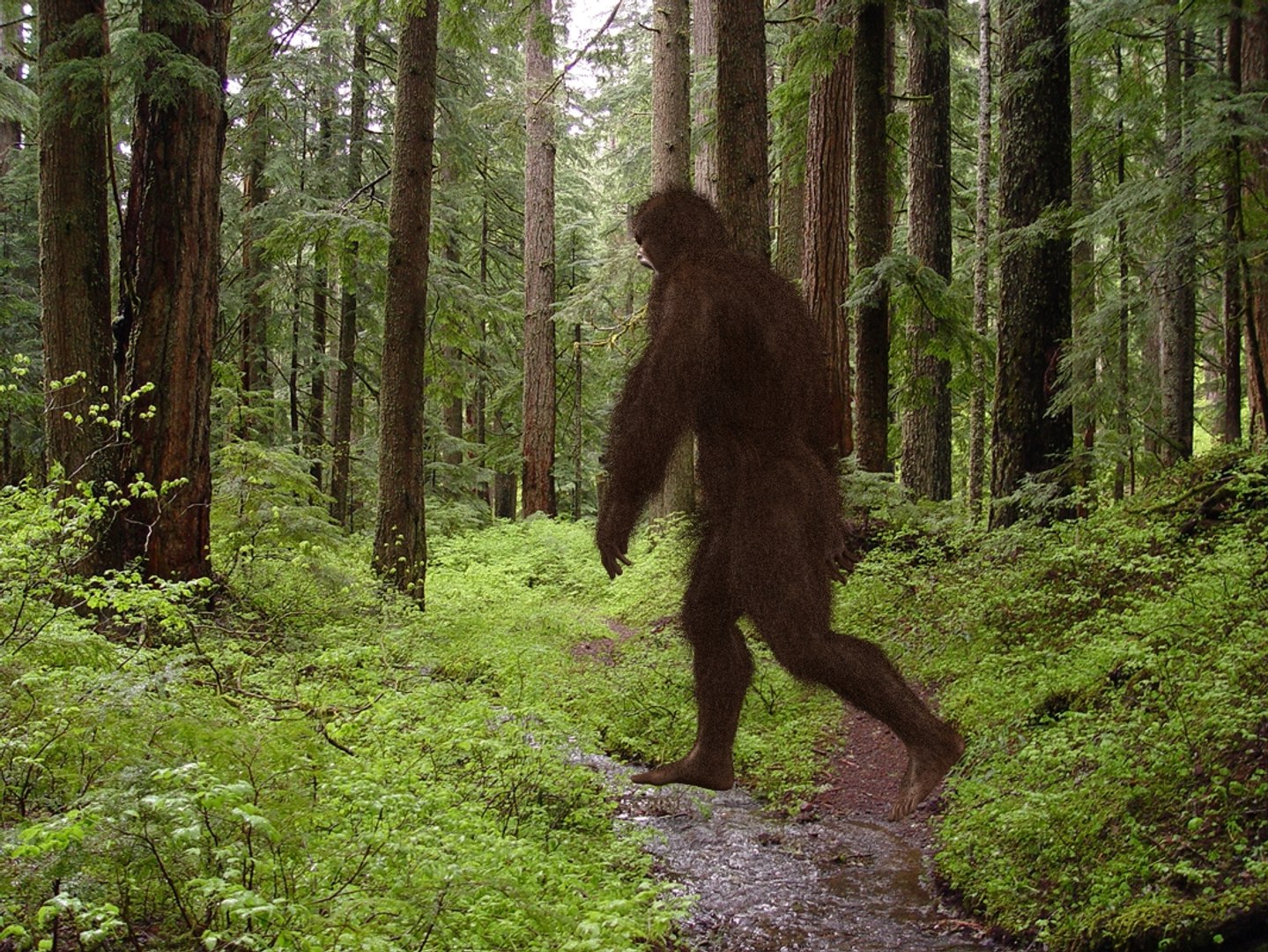Big foot - sasquatch 3D model - TurboSquid 1369707