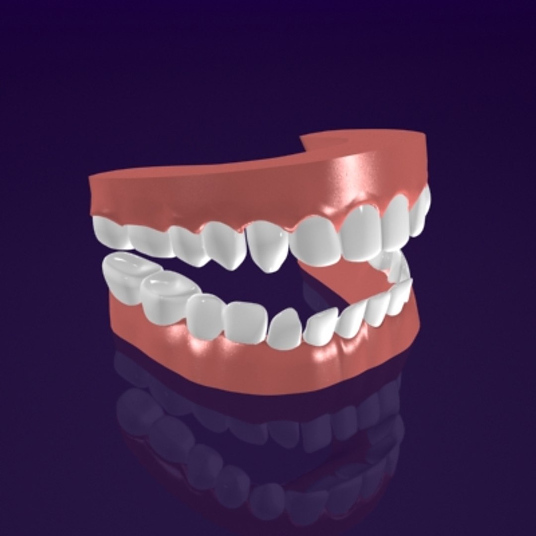 Jaw Mouth Teeth 3d Max