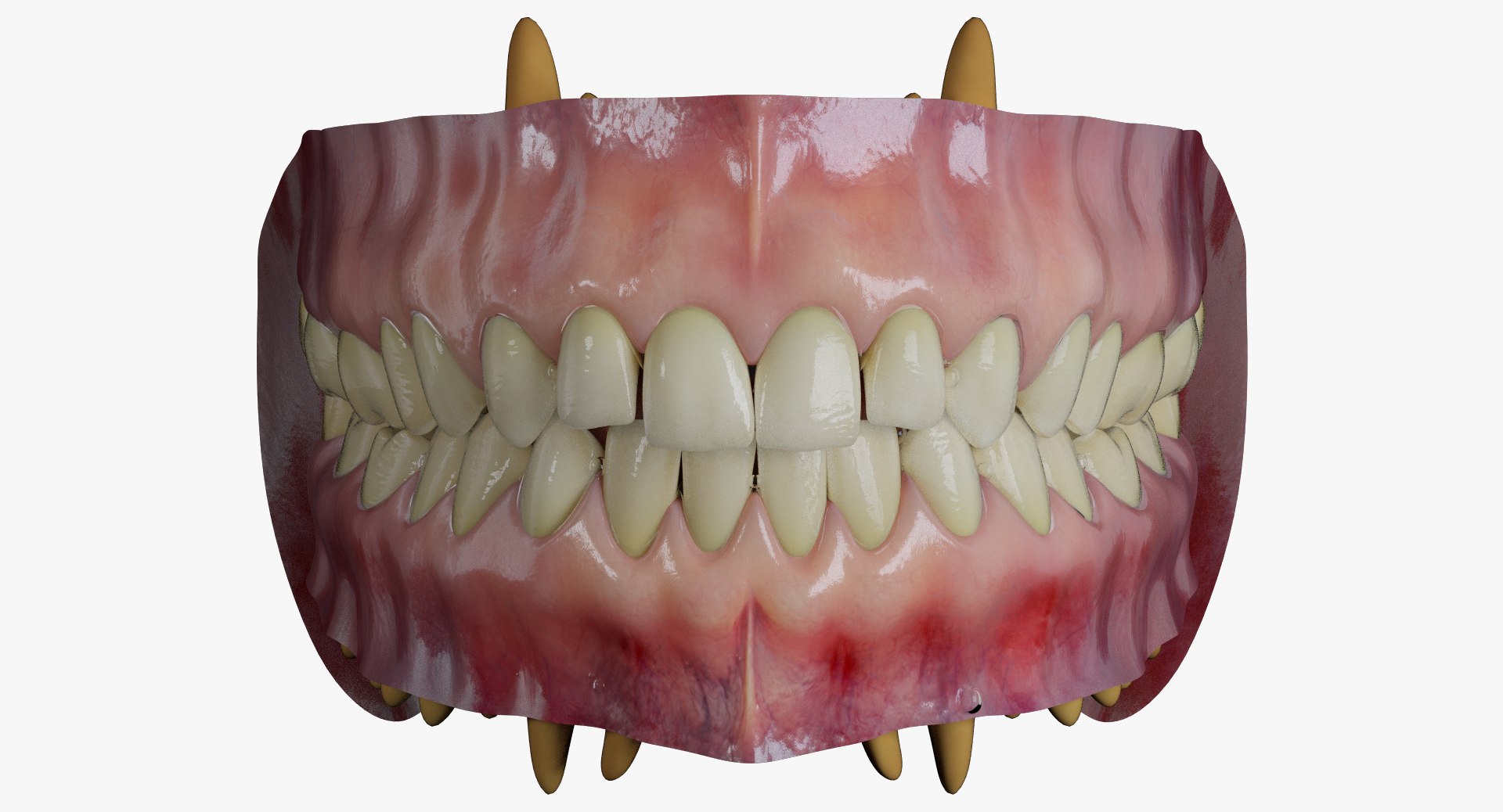 Mouth Realistic Human Model | 1148113 | TurboSquid