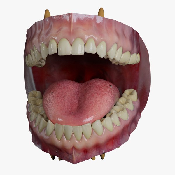3D realistic rigged human mouth model - TurboSquid 1296066