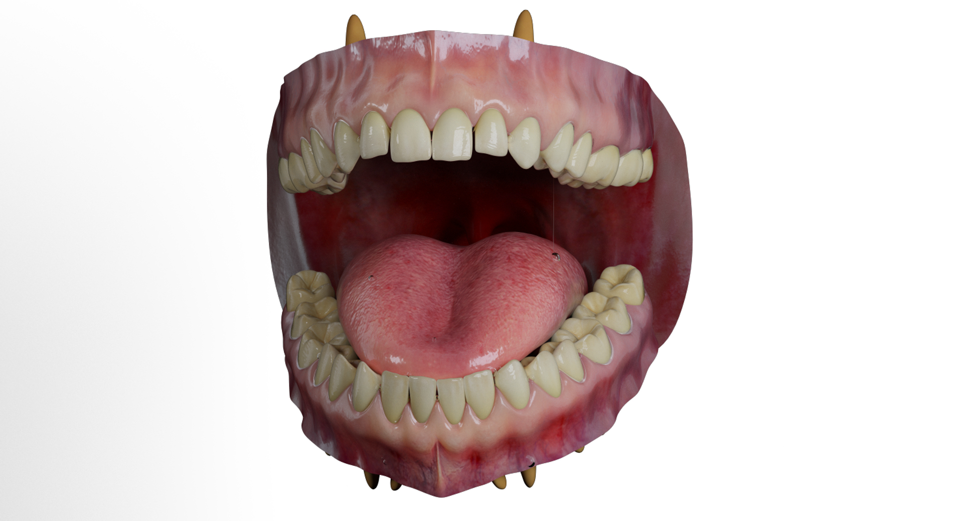 Mouth Realistic Human Model | 1148113 | TurboSquid