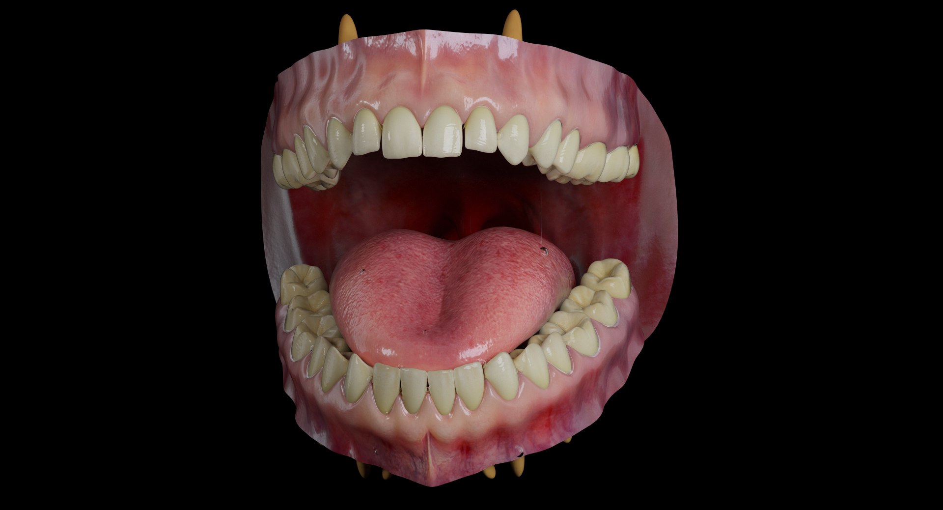 Mouth Realistic Human Model | 1148113 | TurboSquid