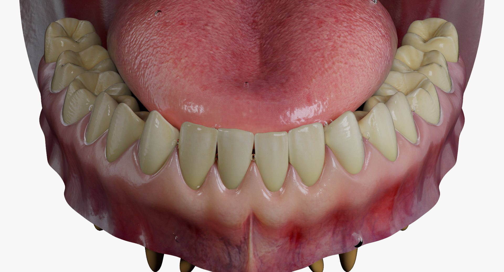 Mouth Realistic Human Model | 1148113 | TurboSquid