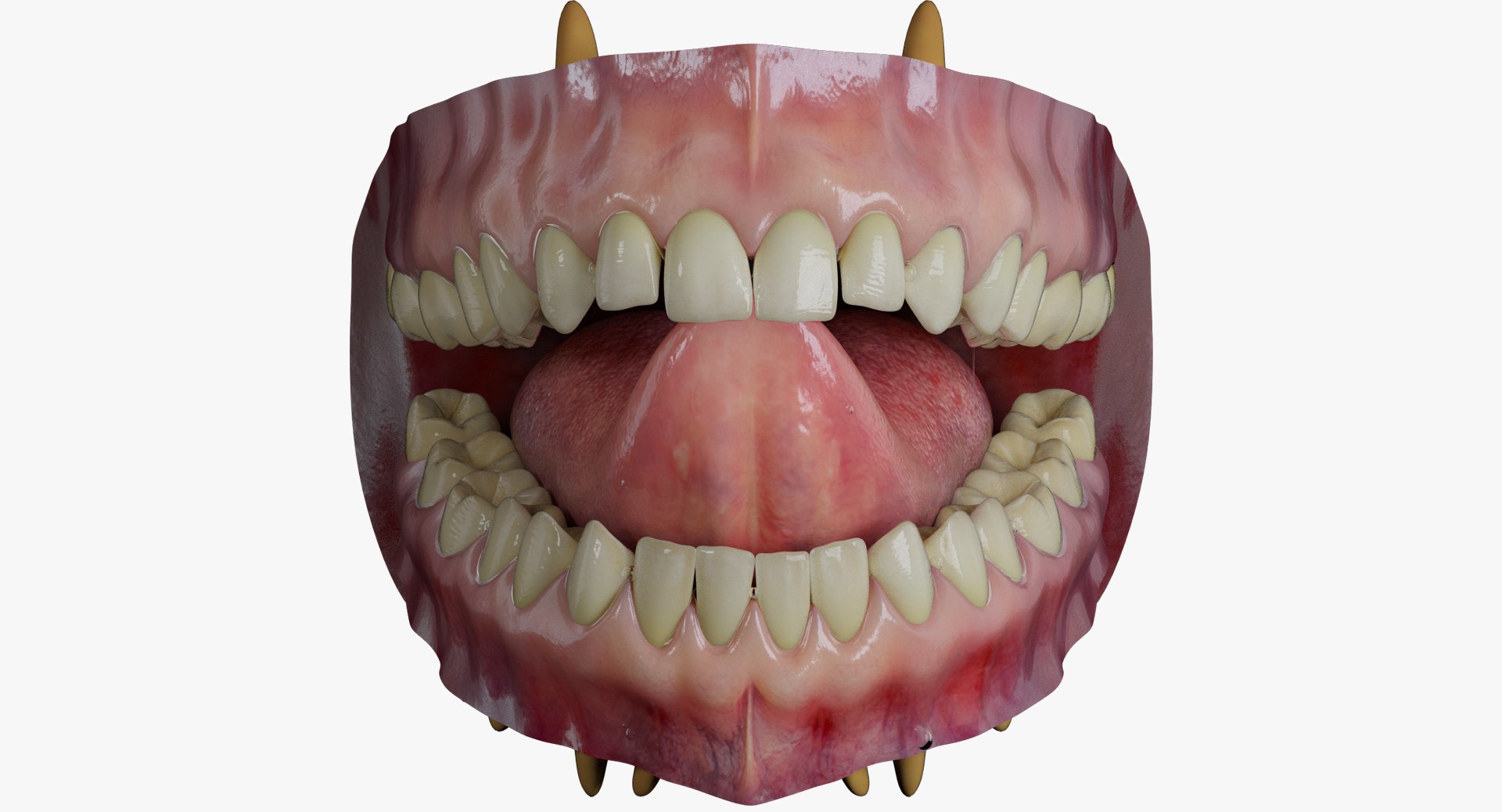 Mouth Realistic Human Model | 1148113 | TurboSquid