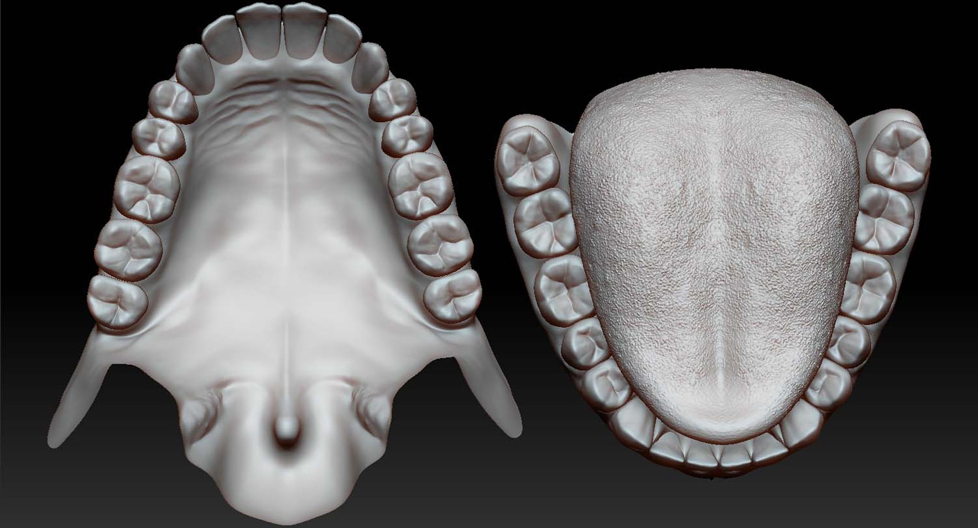 Mouth Realistic Human Model | 1148113 | TurboSquid