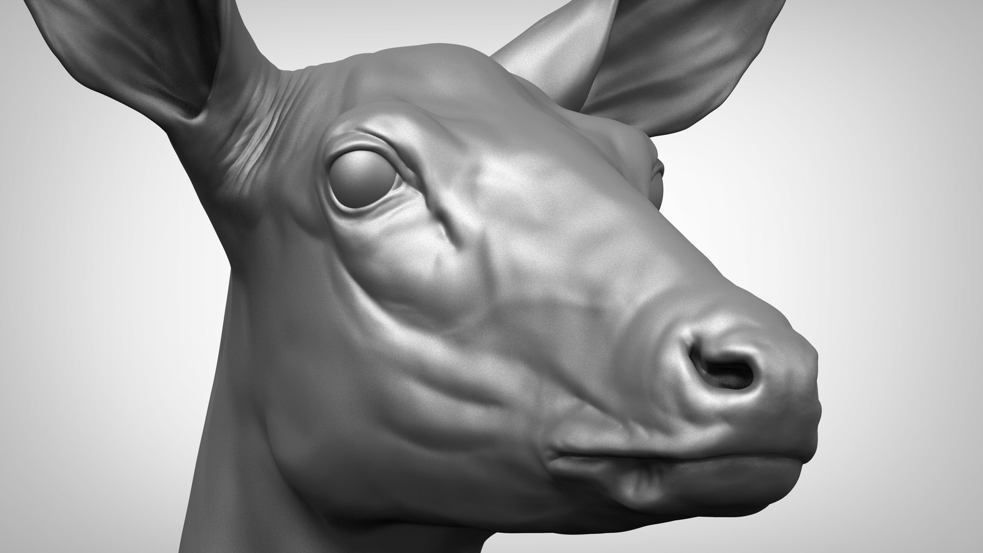 Deer Doe 3D Model - TurboSquid 1770763