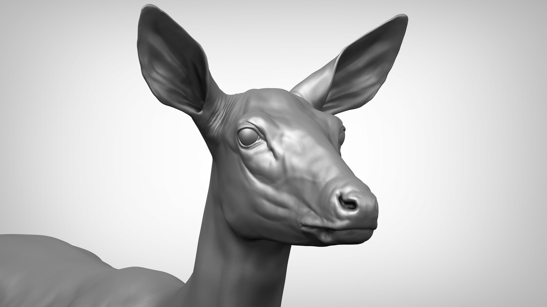 Deer Doe 3D Model - TurboSquid 1770763