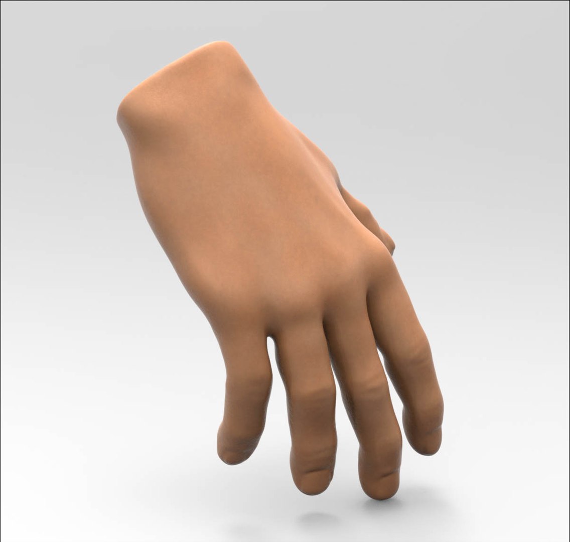 3D Human Hand - TurboSquid 1378362
