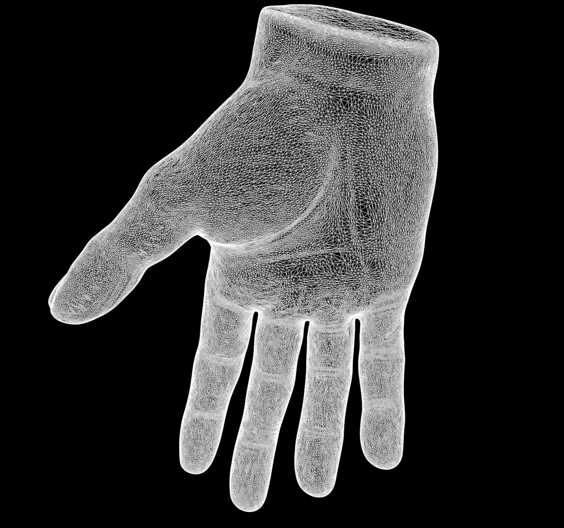 3D Human Hand - TurboSquid 1378362