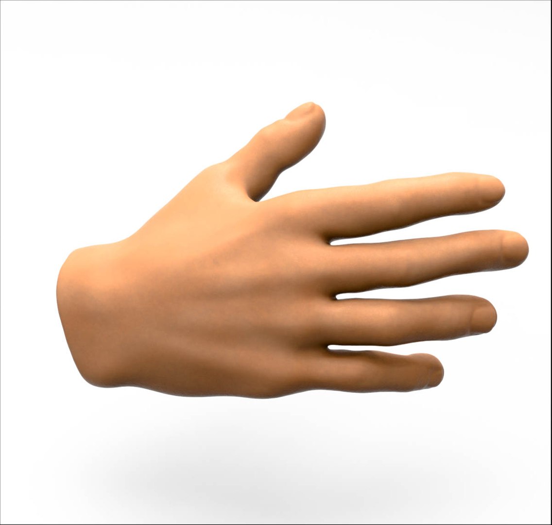 3D Human Hand - TurboSquid 1378362