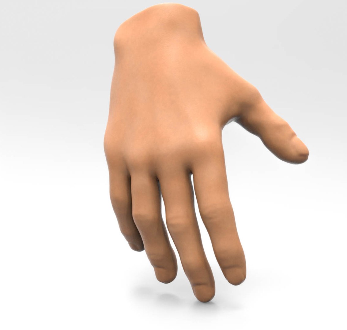 3D Human Hand - TurboSquid 1378362